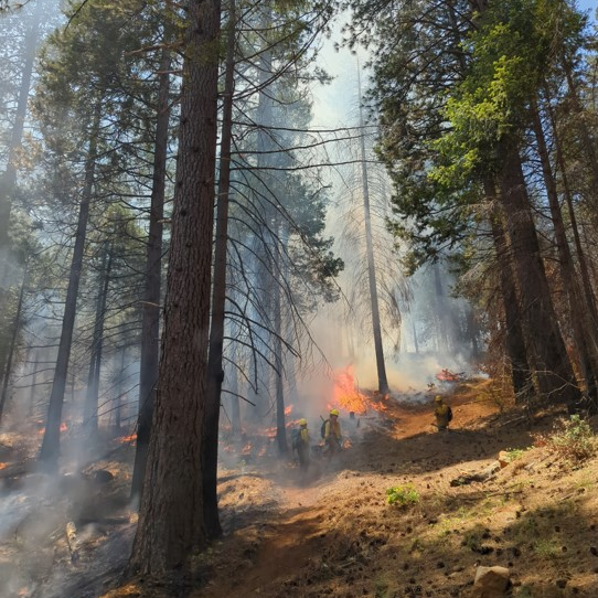 Oldroyd Lab Safety Award Winner | Safety Services